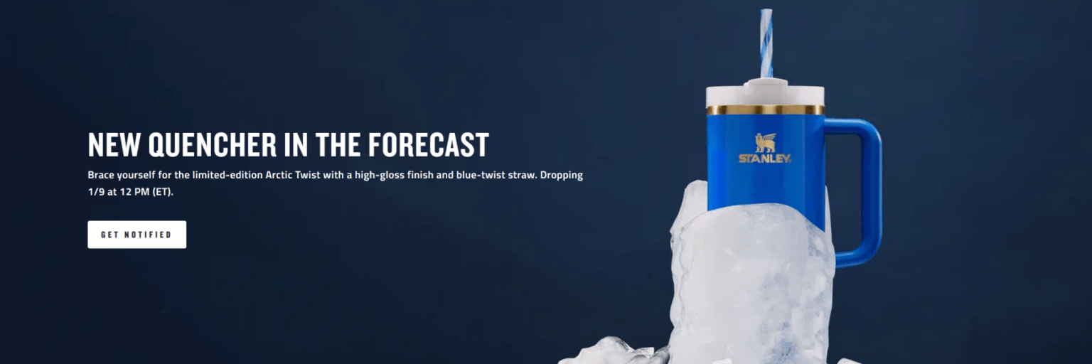 Get Ready to Resell Stanley Arctic Twist Tumblers in January - Resell ...