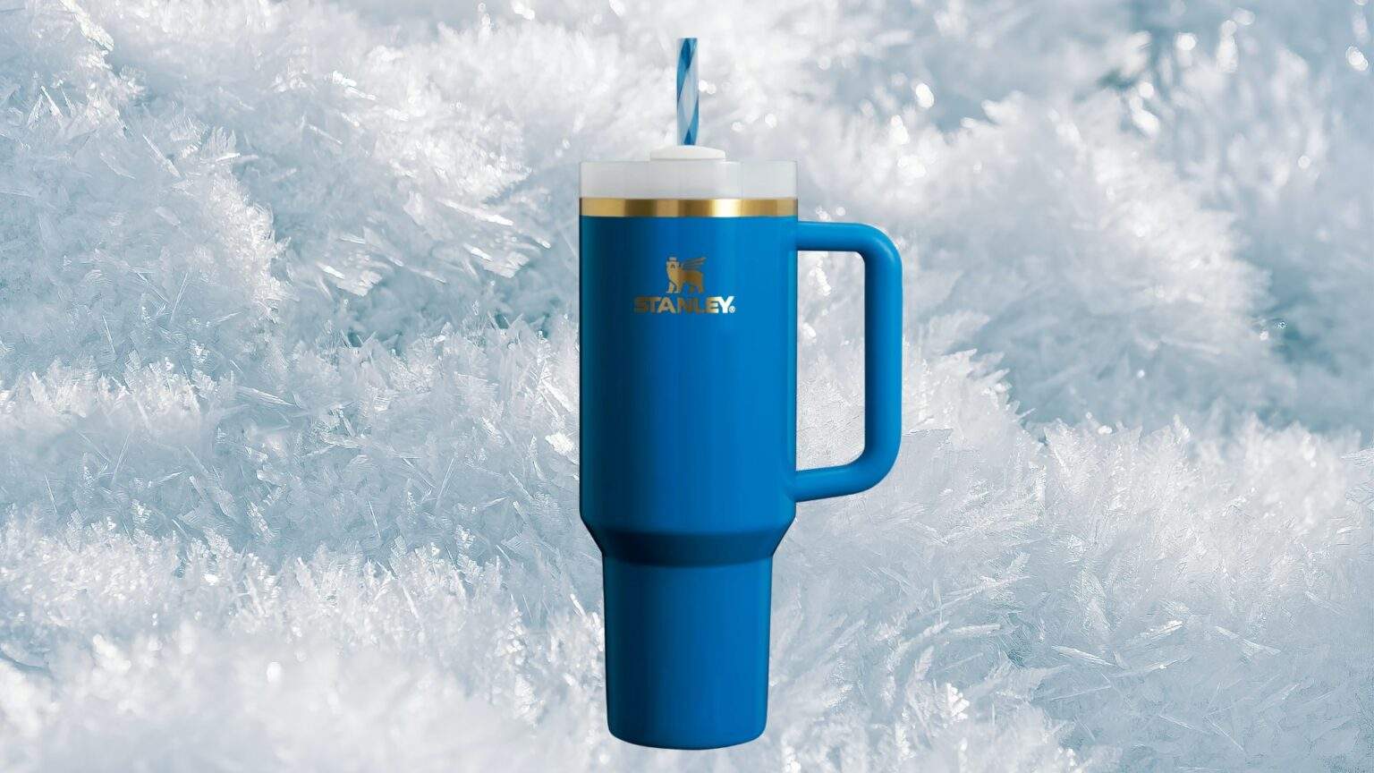 Get Ready to Resell Stanley Arctic Twist Tumblers in January - Resell ...