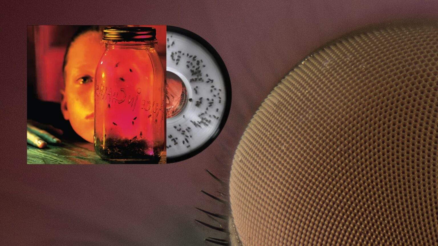 Alice in Chains Jar of Flies Vinyl Resells for $1,000 - Resell Calendar