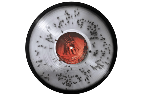 Alice in Chains Jar of Flies Vinyl Resells for $1,000 - Resell Calendar