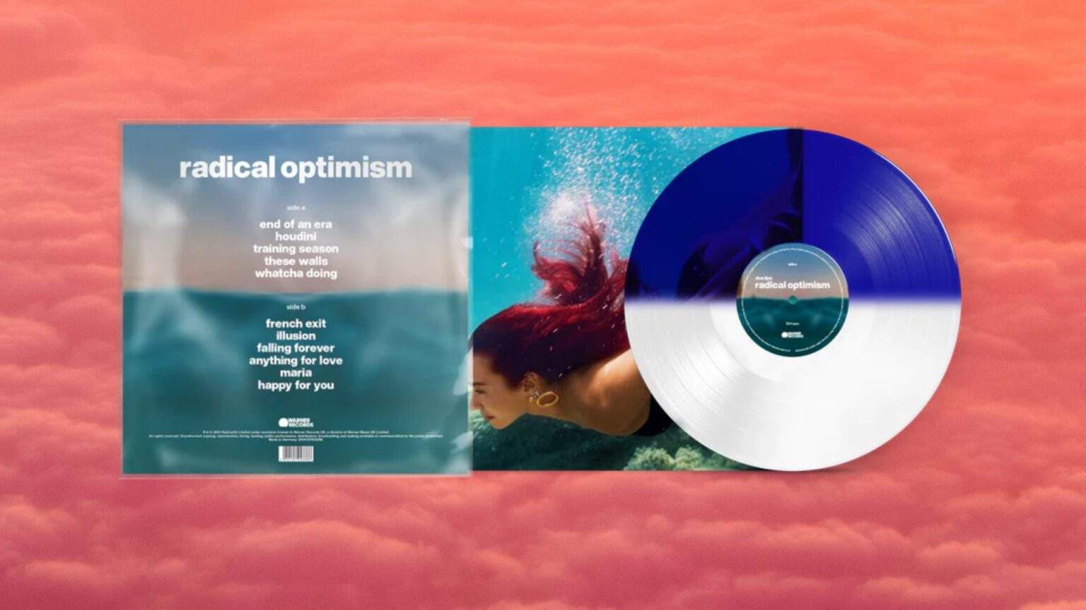 Signed Dua Lipa Vinyl is an Easy $100 Flip - Resell Calendar